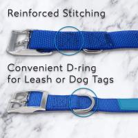 China Handmade Nylon Dog Collars With Metal Buckle Customized 3 Sizes Optional for sale