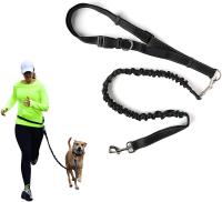 China Lightweight Reflective Nylon Dog Lead , Bungee Dog Leash Dog Accessories for sale