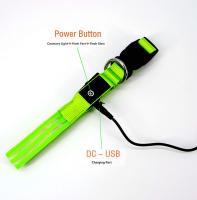 China Sturdy Durable LED Dog Collar USB Rechargeable Customized 5 Sizes Option for sale