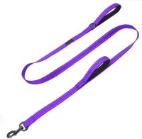 China Double Handle Reflective Nylon Dog Leash for sale