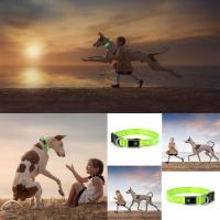 China Sturdy Durable LED Dog Collar USB Rechargeable Customized 5 Sizes Option for sale
