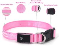 China Safety Seen LED Dog Collar USB Rechargeable Multifuctional For Dogs Walking Training for sale