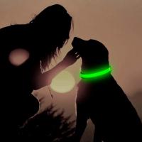 China Lightweight LED Dog Collar USB Rechargeable , High Visible LED Pet Dog Collar for sale