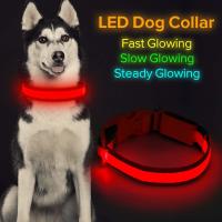 China Customized Color LED Dog Collar USB Rechargeable , Nylon LED Pet Dog Collar for sale