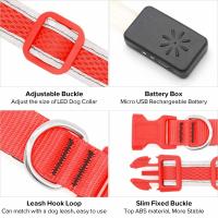 China Customized Color LED Dog Collar USB Rechargeable , Nylon LED Pet Dog Collar for sale