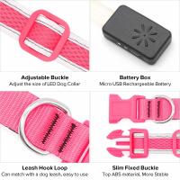 China Long Time Glowing USB Light Up Dog Collar Skin Friendly For Dogs' Safety for sale