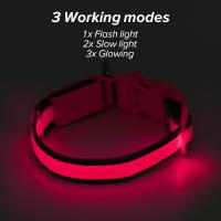 China Long Time Glowing USB Light Up Dog Collar Skin Friendly For Dogs' Safety for sale