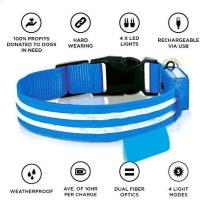 China Ultra Bright Ultimate LED Light Up Dog Collar for sale