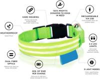 China LED Illuminated Illuminated Dog Collar Various Colors Long Working Hours for sale