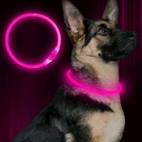 China USB Rechargeable Pet Industries LED Dog Collar Weatherproof Three Glow Modes for sale