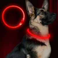 China USB Rechargeable Pet Industries LED Dog Collar Weatherproof Three Glow Modes for sale