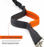 China 4 Feet Long Bungee Dog Lead With Reflective Stitching for sale