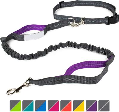 China 4 Feet Long Bungee Dog Lead With Reflective Stitching for sale