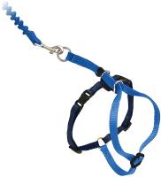 China Adjustable Nylon Cat Harness Collar With Bungee Leash for sale