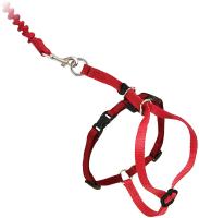 China Adjustable Nylon Cat Harness Collar With Bungee Leash for sale