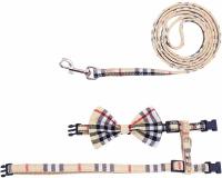 China Durable Nylon Webbing Nylon Pet Collar With SS D Ring for sale