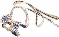 China Durable Nylon Webbing Nylon Pet Collar With SS D Ring for sale