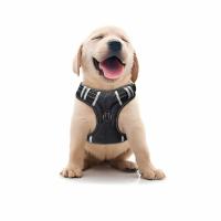 China Comfortable Nylon Dog Harness , Reflective Oxford Soft Dog Harness Vest for sale