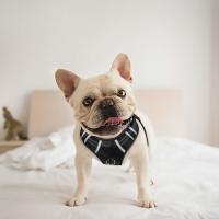 China Comfortable Nylon Dog Harness , Reflective Oxford Soft Dog Harness Vest for sale