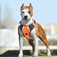 China Locking Security Nylon Dog Harness No Pull Easy Control For Large Dogs for sale