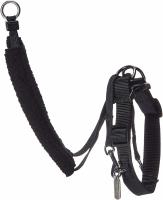 China No Pull Dog Training Leash Halter Pet Lead Nylon Webbing Stress Free Multicolour for sale