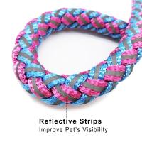 China Mountain Climbing Braided Nylon Rope Dog Leash , Dog Training Leash With Lock Catch for sale