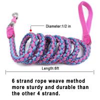 China Mountain Climbing Braided Nylon Rope Dog Leash , Dog Training Leash With Lock Catch for sale