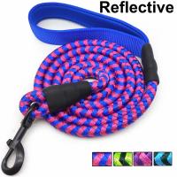 China Comfortable Nylon Dog Walking Leash Padded Rope Light Weight Weather Proof for sale