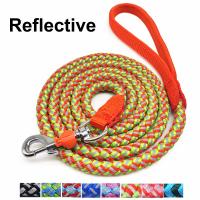 China Comfortable Nylon Dog Walking Leash Padded Rope Light Weight Weather Proof for sale
