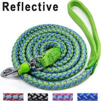 China Comfortable Nylon Dog Walking Leash Padded Rope Light Weight Weather Proof for sale