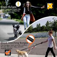 China Strong Bungee Shock Absorbing Dog Leash 4 In 1 Multifunction With Car Seat Belt for sale