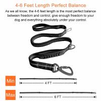 China Strong Bungee Shock Absorbing Dog Leash 4 In 1 Multifunction With Car Seat Belt for sale
