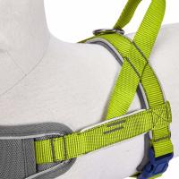China 6 Sizes Option Nylon Dog Harness , Durable Neoprene Padded Dog Harness for sale
