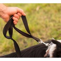 China 2 Handles Nylon Dog Leash 6 FT Long For Extra Control Reflective Stitch for sale