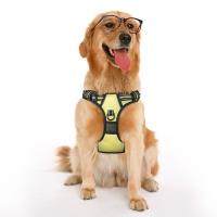China Adjustable Soft Padded No Pull Dog Harness Pet Vest With Easy Control Handle for sale