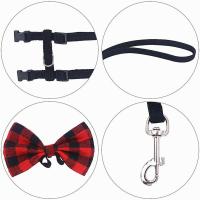 China British Style Nylon Cat Collar With Removable Bowtie for sale