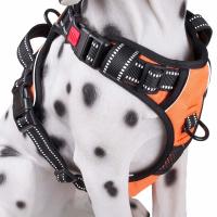 China No Pull No Choke Dog Harness With 3 Snap Buckles for sale