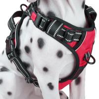 China Large Dog No Pull No Choke Dog Harness Adjustable Size OEM ODM Available for sale