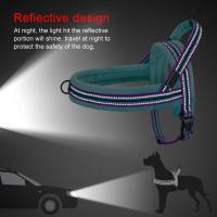 China Light Weight Nylon Dog Harness Well Constructed Comfortable Wearing Safety Walking for sale