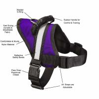 China Hassle Free Chest LED Dog Harness Double Security M L XL 7 Colors Optional for sale