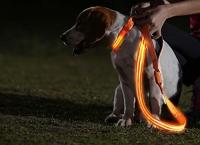 China Orange Color LED Dog Leash USB Rechargeable for sale