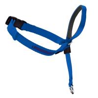 China Nylon Dog Head Collar Halter For Dog Better Leash Manners Customized Logo for sale