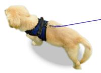 China Soft Breathable Dog Mesh Vest Harness For Puppies Small Medium Large Dogs for sale