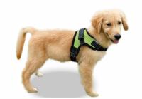 China Reflective Nylon Dog Harness , Adjustable Dog Harness Pet Vest With Soft Handle for sale
