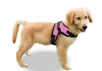 China Reflective Nylon Dog Harness , Adjustable Dog Harness Pet Vest With Soft Handle for sale