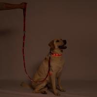 China Super Bright Illuminated Dog Leash Runs Over 7 Hours For Dogs Walking Training for sale