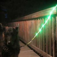 China Super Bright Illuminated Dog Leash Runs Over 7 Hours For Dogs Walking Training for sale