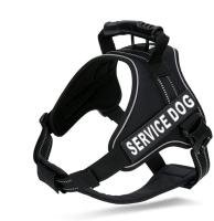 China Durable Outdoor Adventure Easy Walk Pet Harness With Removable Chest Padding for sale