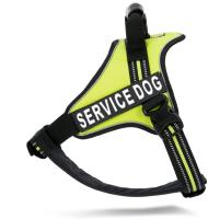 China Durable Outdoor Adventure Easy Walk Pet Harness With Removable Chest Padding for sale