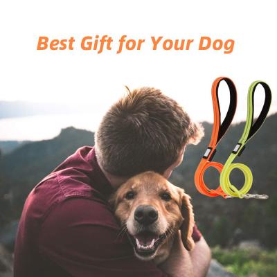 China 47.2 Inch / 120cm Waterproof LED Dog Leash for sale